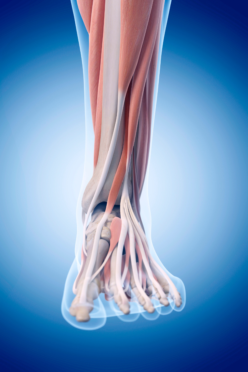 iReliev.com | Curated & Highest Reviewed Health & Wellness Products