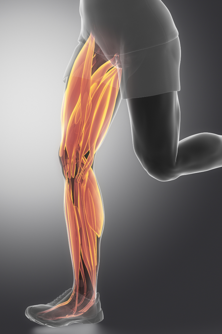 iReliev.com | Curated & Highest Reviewed Health & Wellness Products